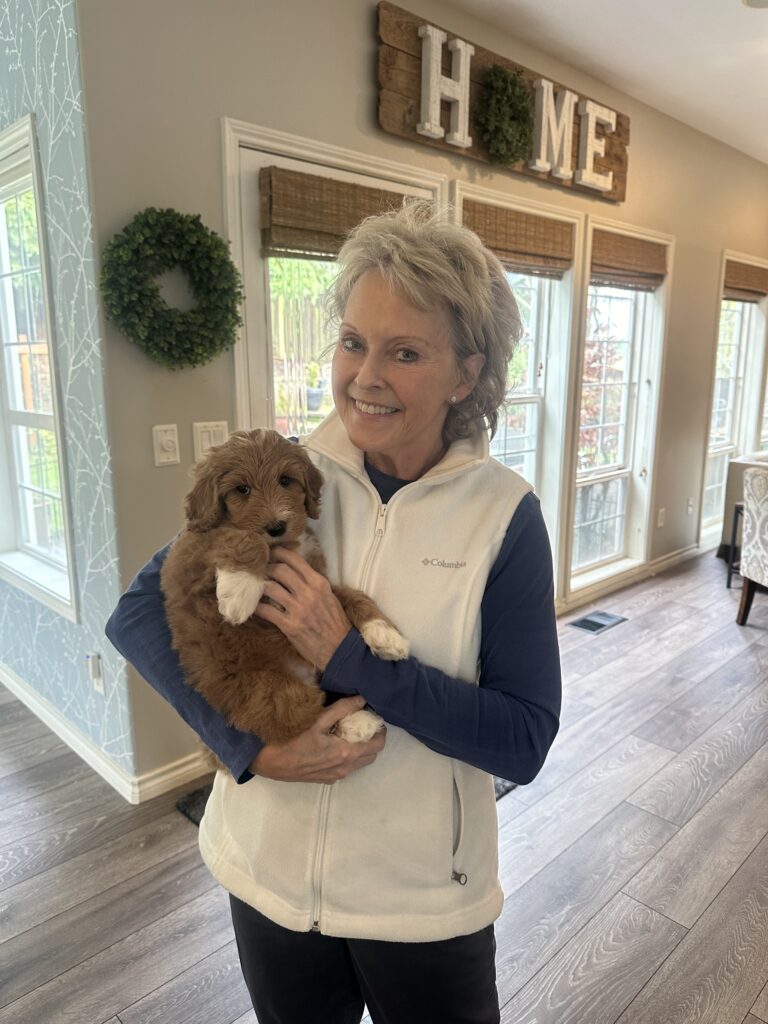 Kylie and Gunner's puppies are home - Valley Vineyard Labradoodles